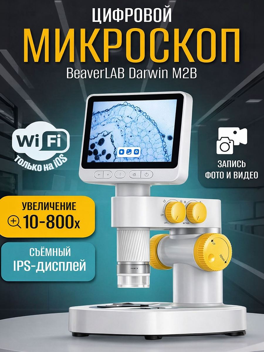 Микроскоп цифровой BeaverLab Darwin M2B WiFi, USB, с записью фото и видео, беспроводной детский школьный