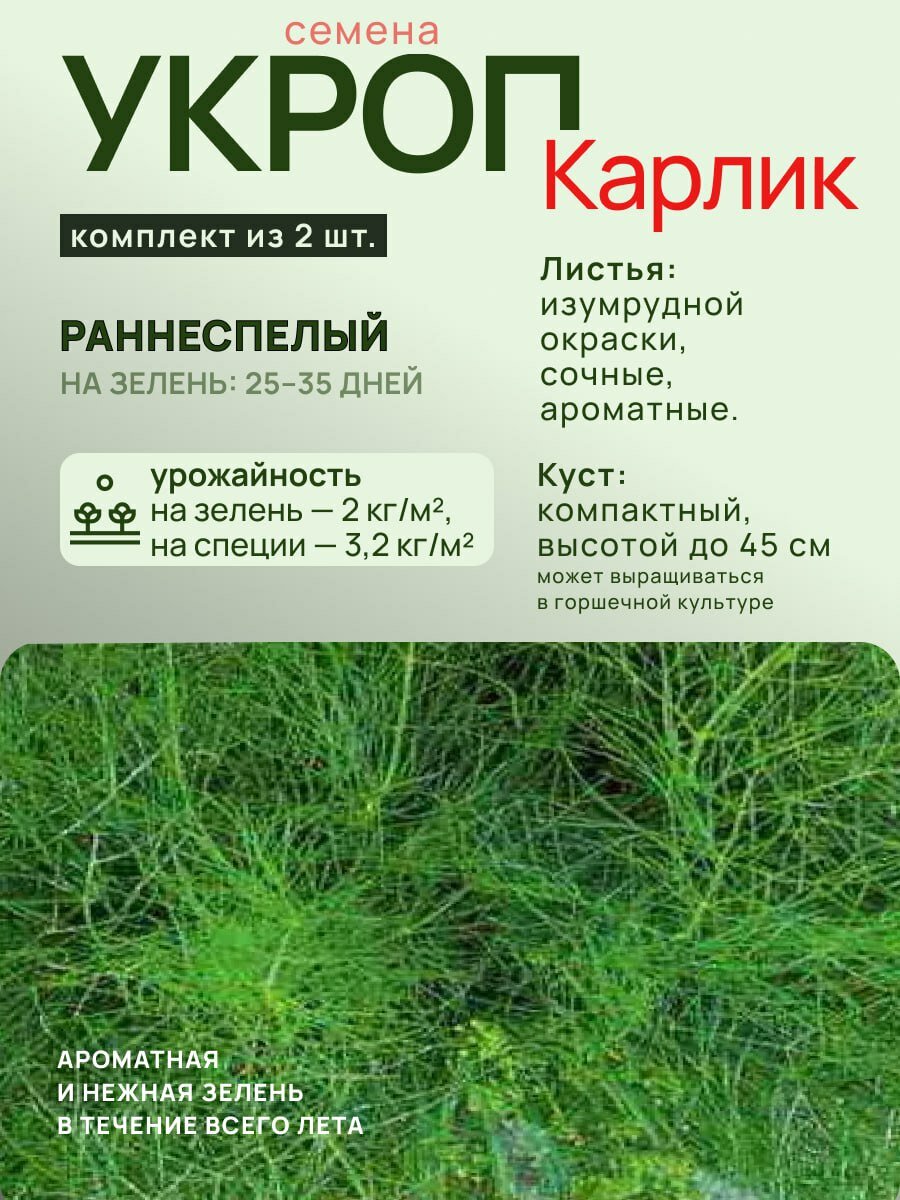 Семена укропа "Карлик" аэлита, кустовой, для горшечного выращивания, 2 пакета