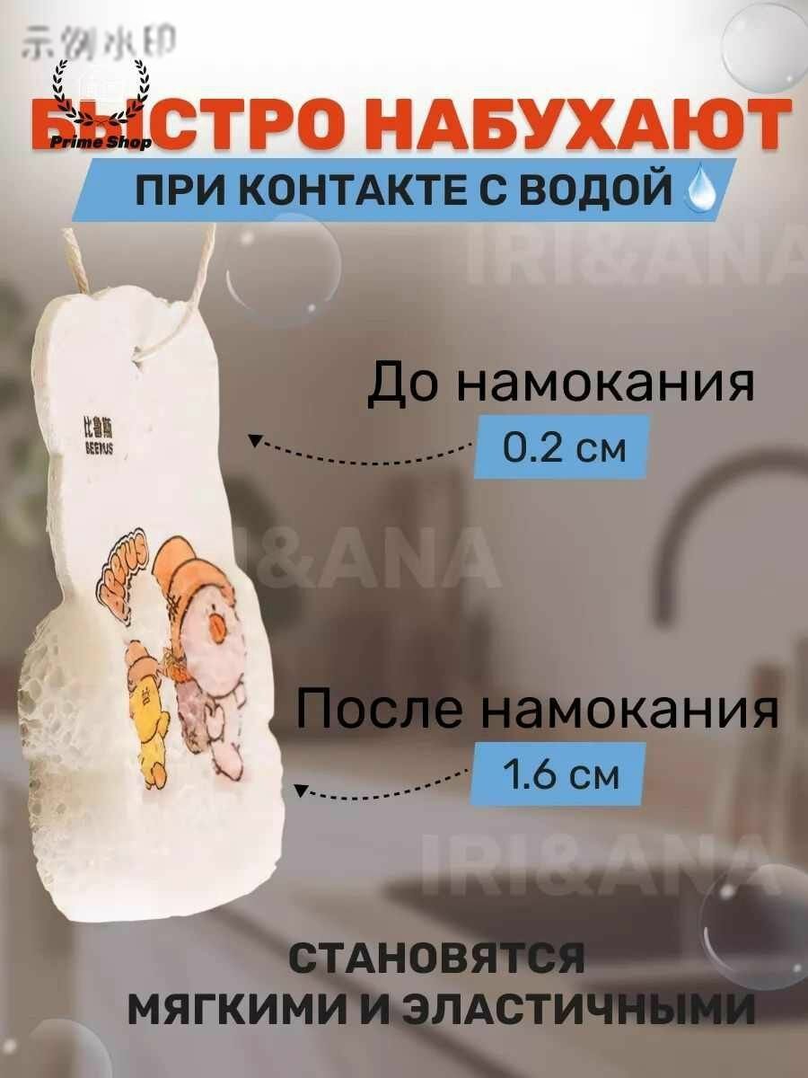 Губка — фото 1