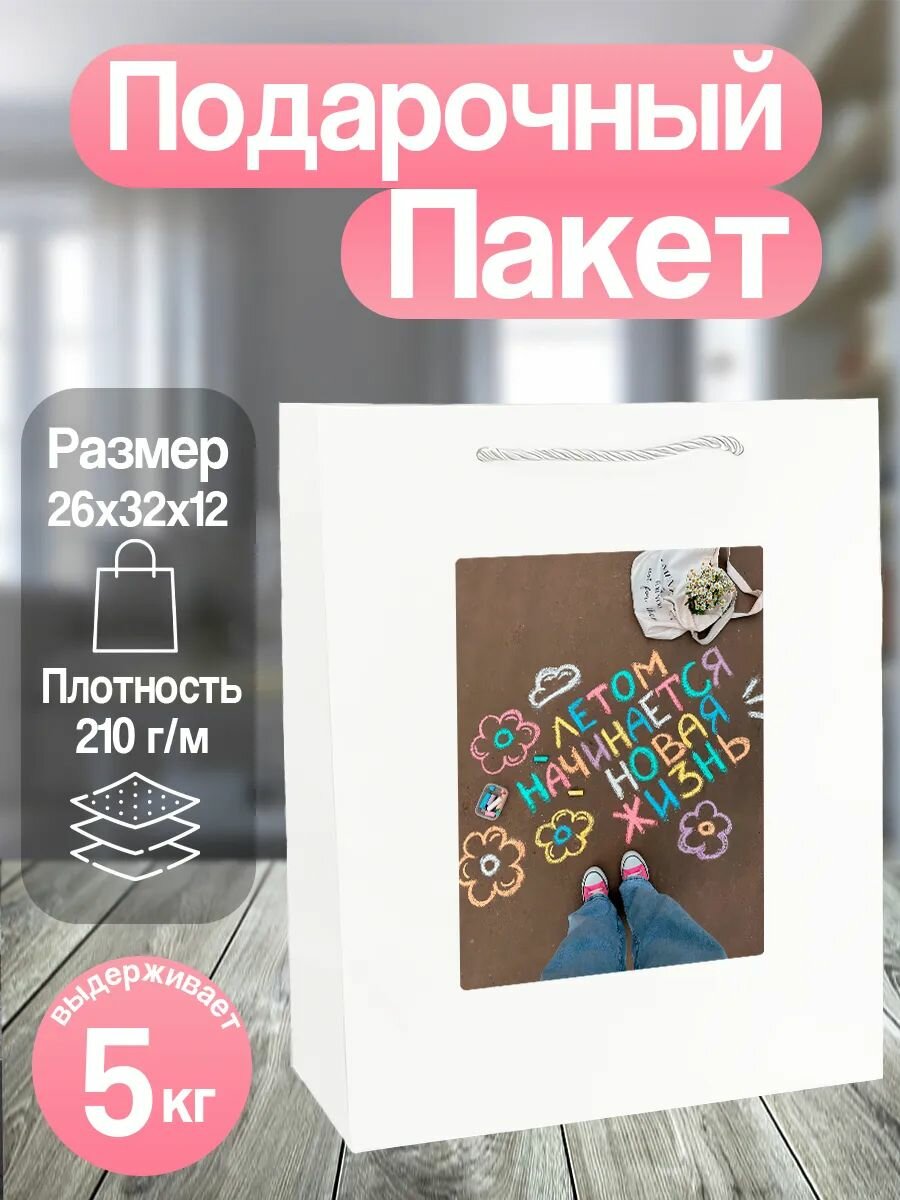 Пакет подарочный 2016 вайб, упаковка для подарка, 26х31 см