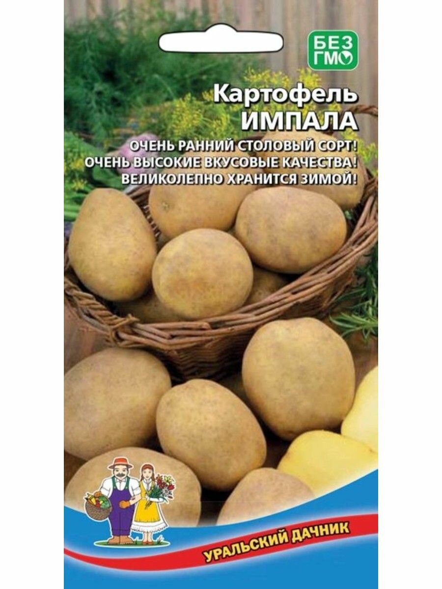 Семена Картофель Импала