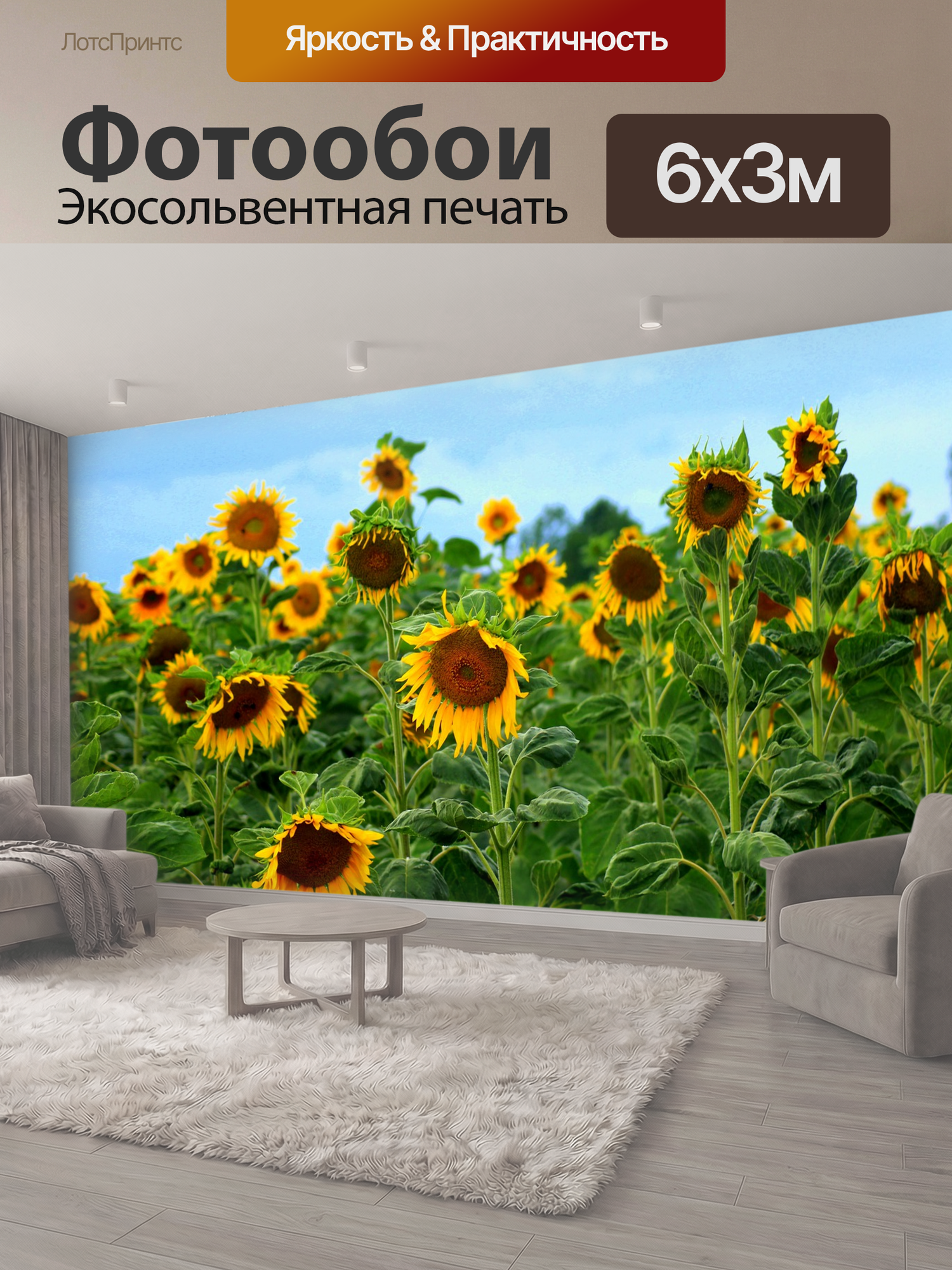 Фотообои "Подсолнухи, поле подсолнухов, культивирование" 600x300 см. экосольвентная печать