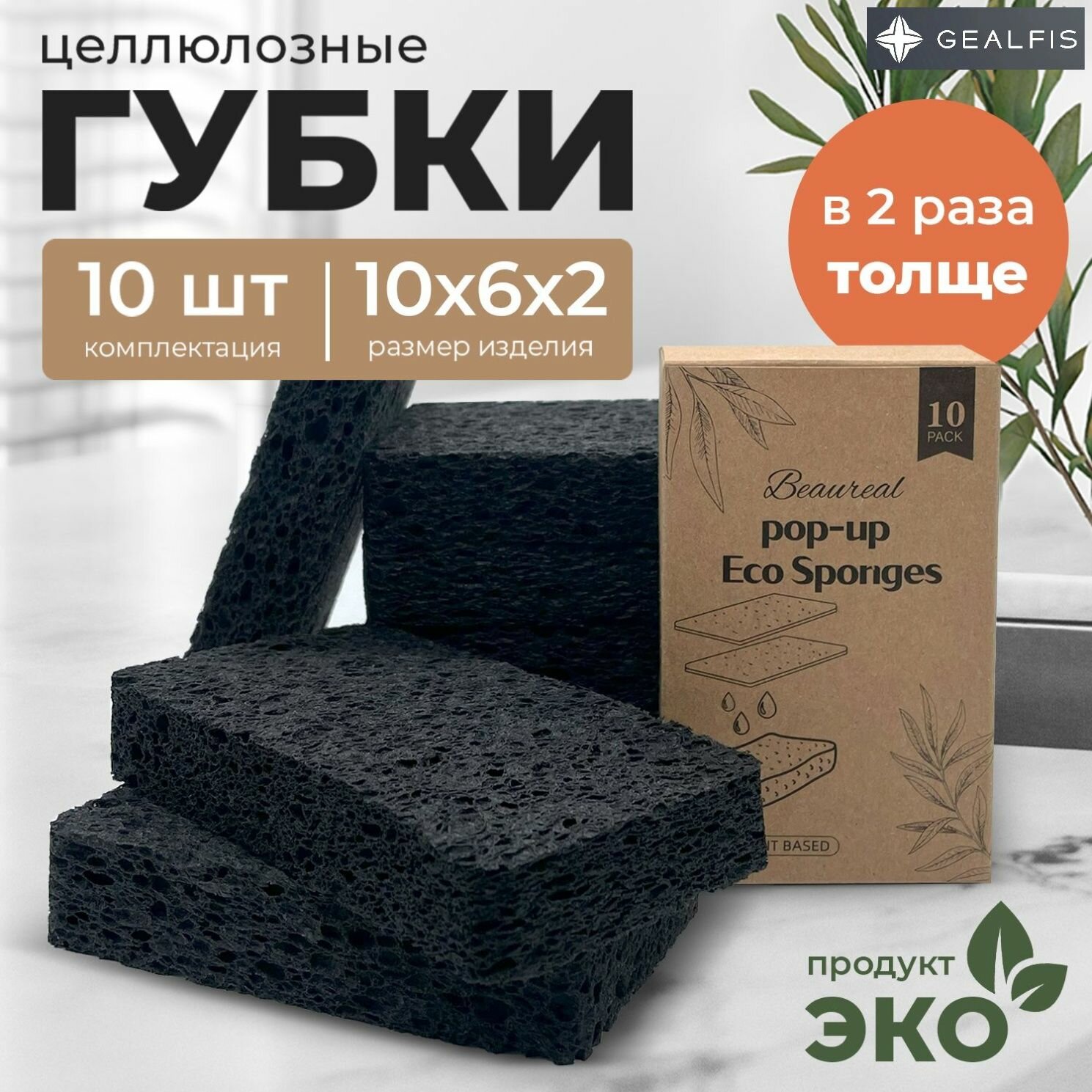 Губка