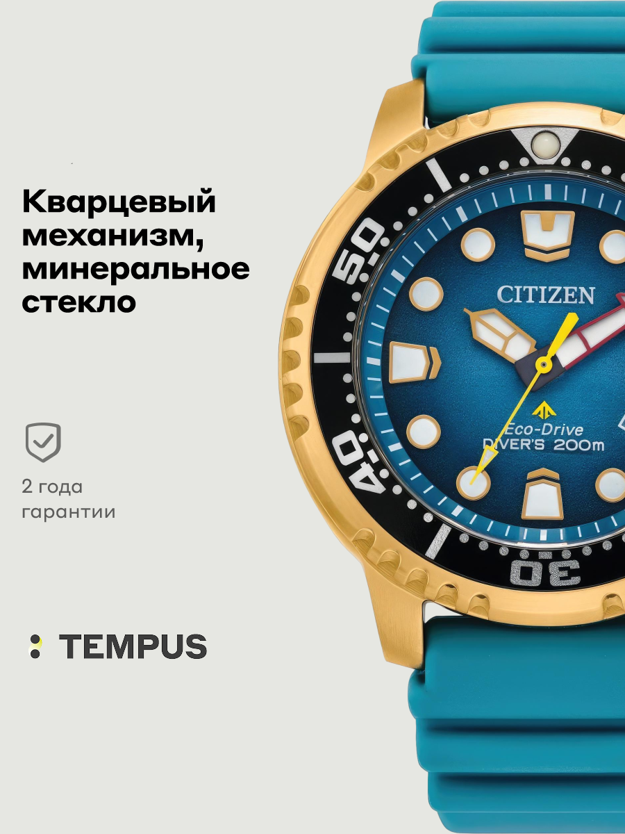 Наручные часы Promaster