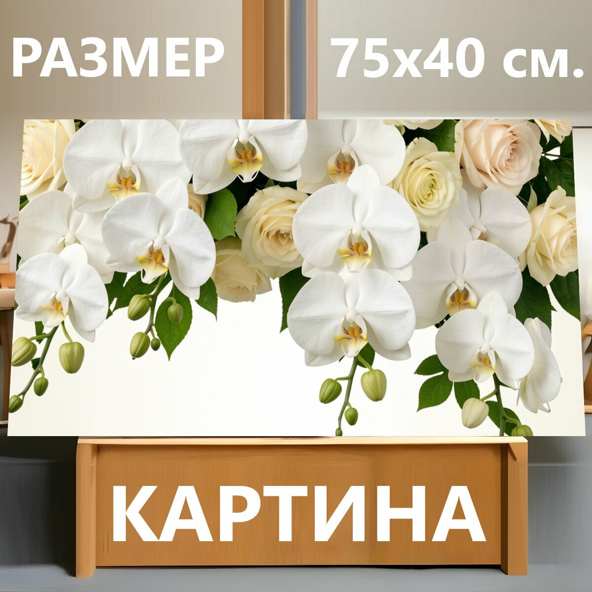 Картина на холсте "Белые орхидеи и кремовые розы. Нежная цветочная композиция из белоснежных орхидей, кремовых роз и сочной зелени на светлом." на подрамнике 75х40 см. для интерьера