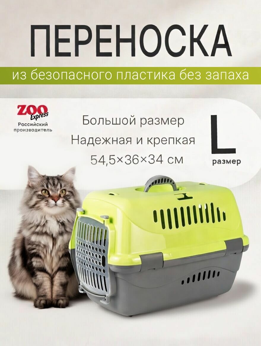 Переноска для кошек пластиковая большая с прозрачной дверцей Зеленая