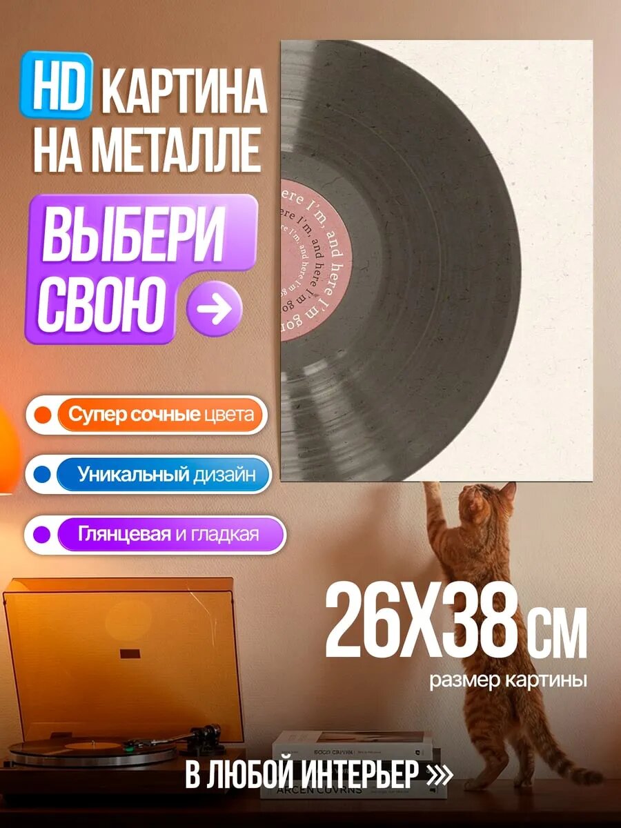 Картина на HD металле Виниловая пластинка