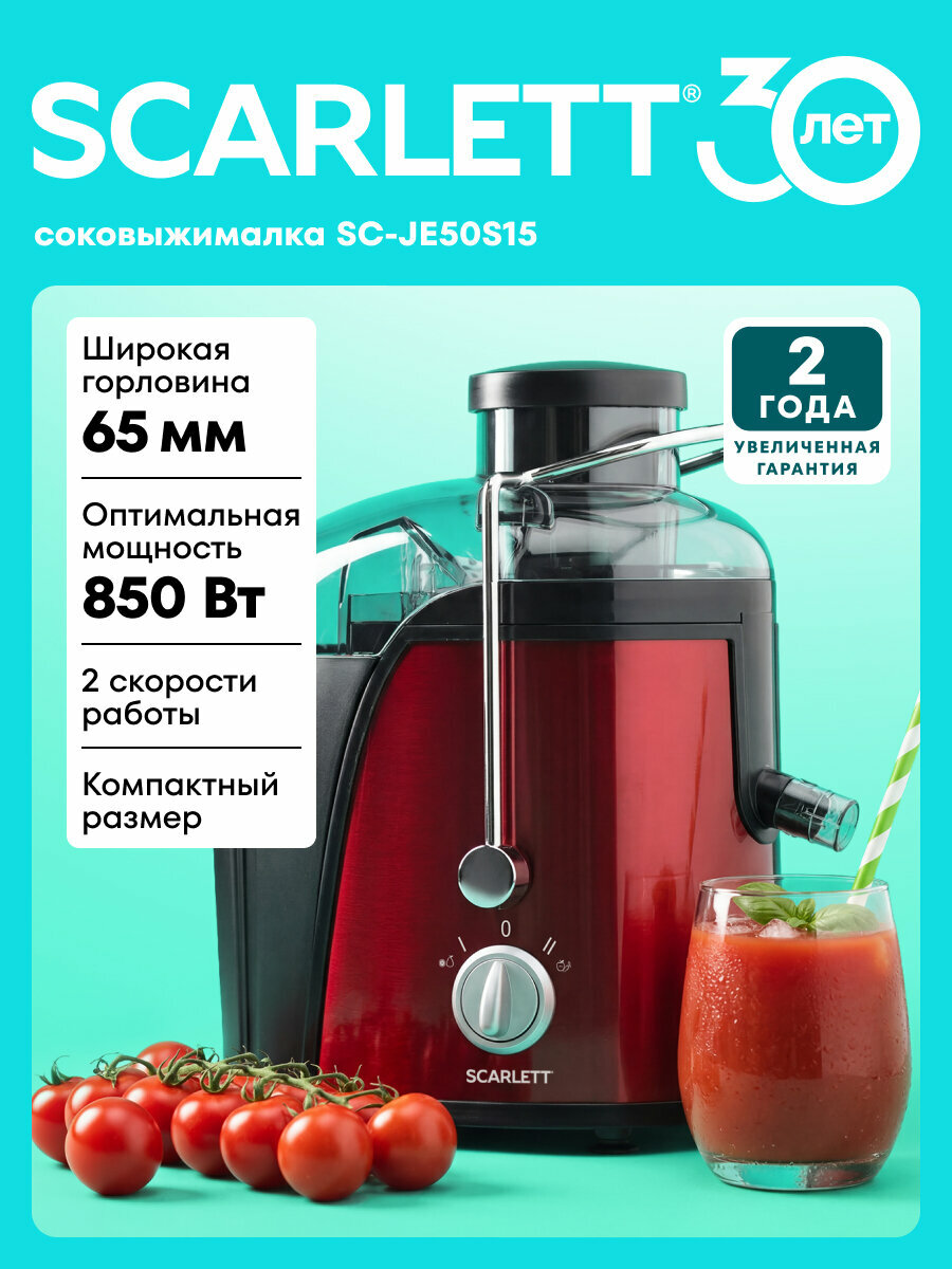 Соковыжималка центробежная электрическая Scarlett SC-JE50S15, серия DailyPress, 850 Вт