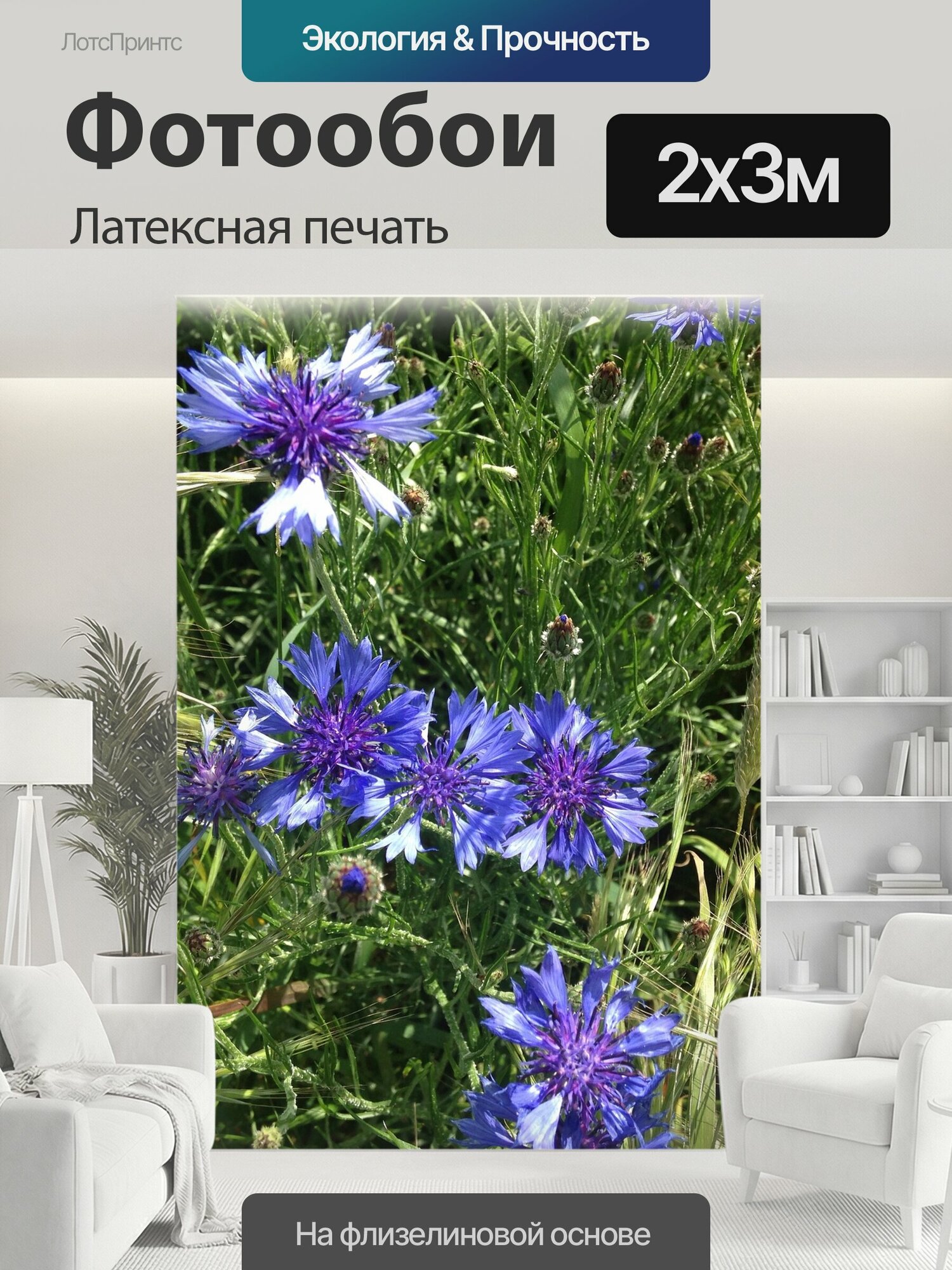 Фотообои моющиеся ударопрочные "Васильки, луг, природа" 200x300 см. латексная печать