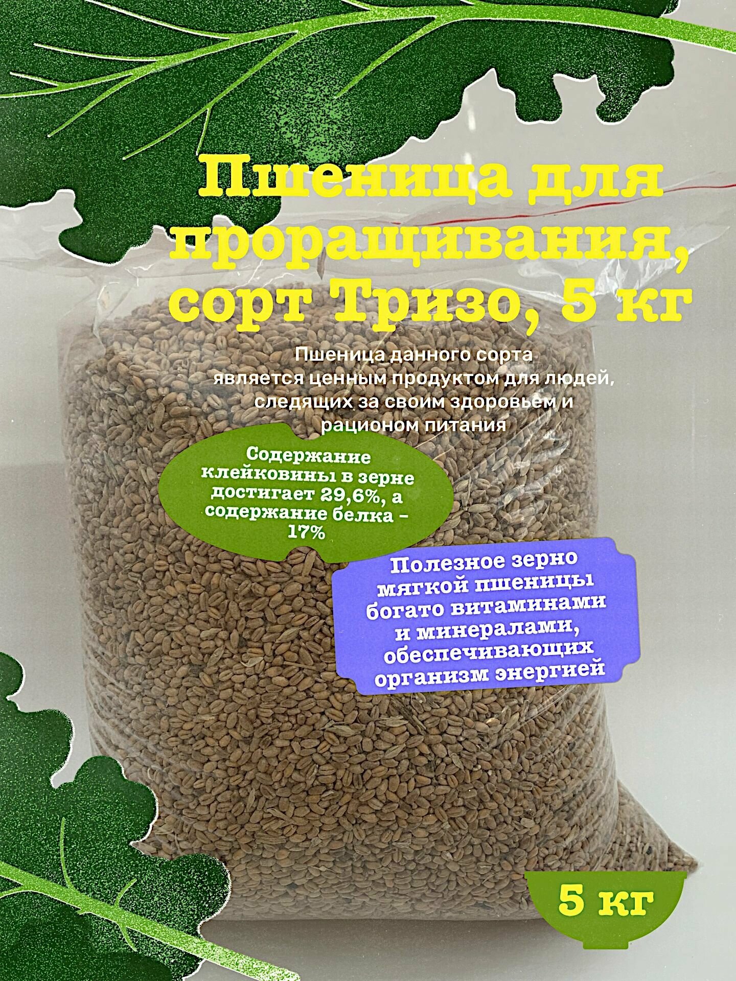 Пшеница для проращивания, сорт Тризо, 5 кг