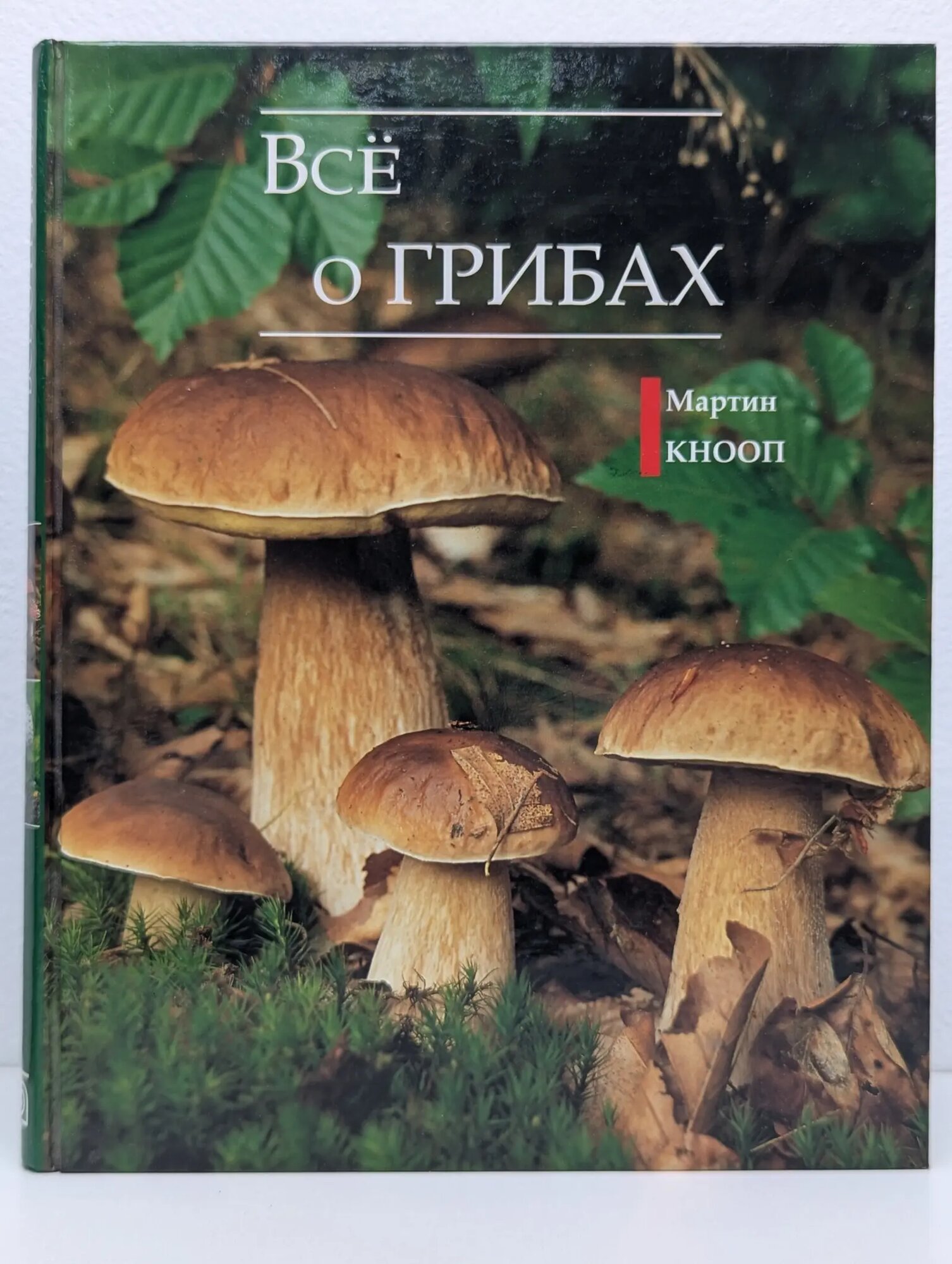 Всё о грибах Кнооп Мартин 2000