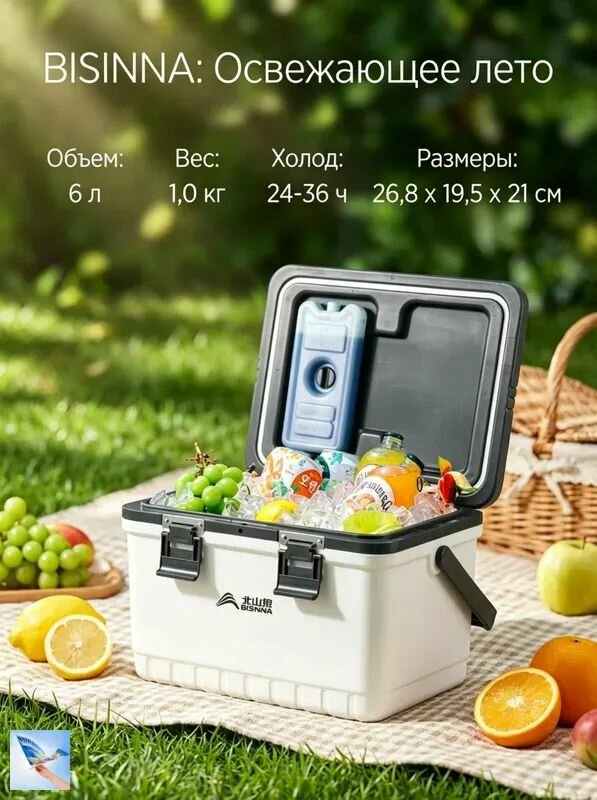 Мини термобокс Bisinna 6 л, портативный изотермический контейнер для пикника и лекарств
