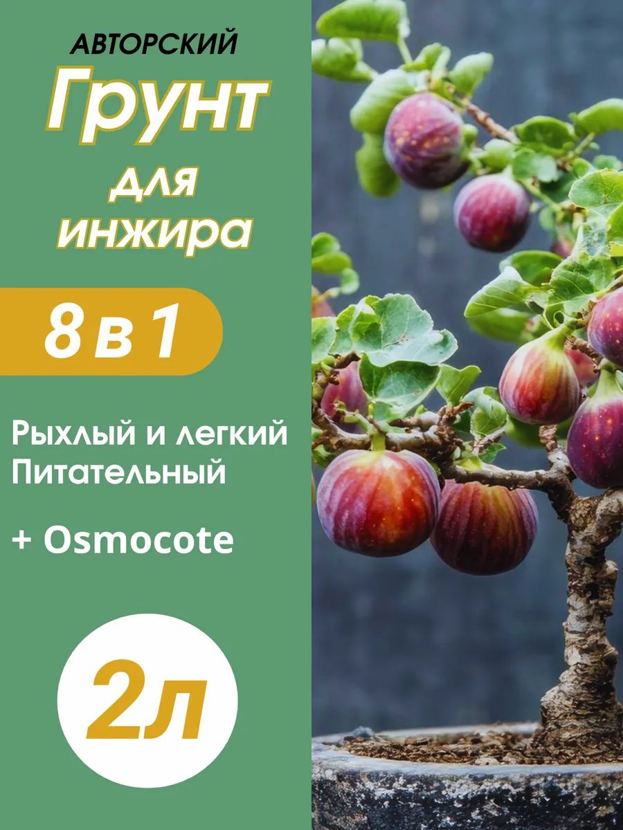 Грунт для Инжира 2л готовый