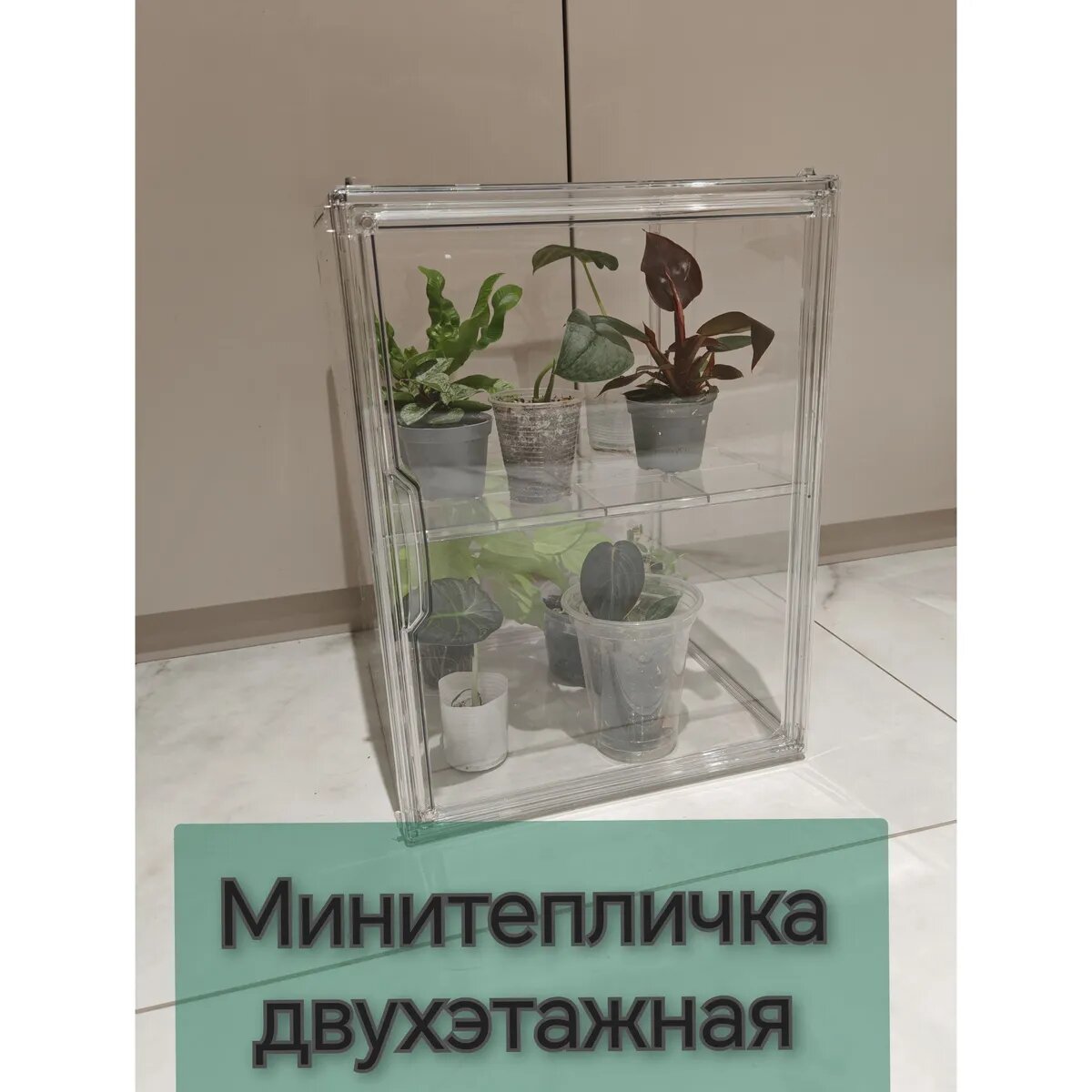 Мини -теплица, пластика ABS, прозрачная, мини -теплица саженца с полками