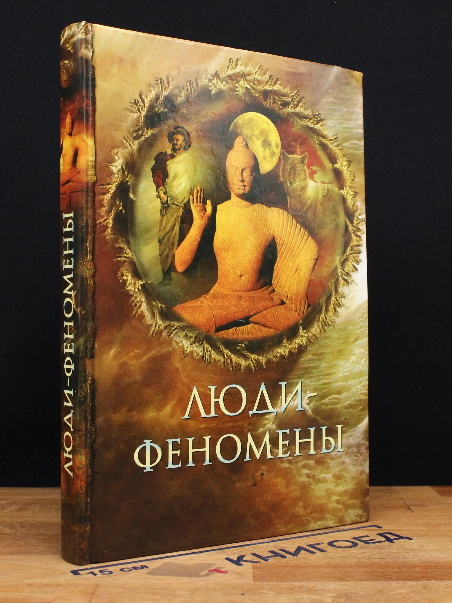 Книга. Люди-феномены 2010 (2046607044137)