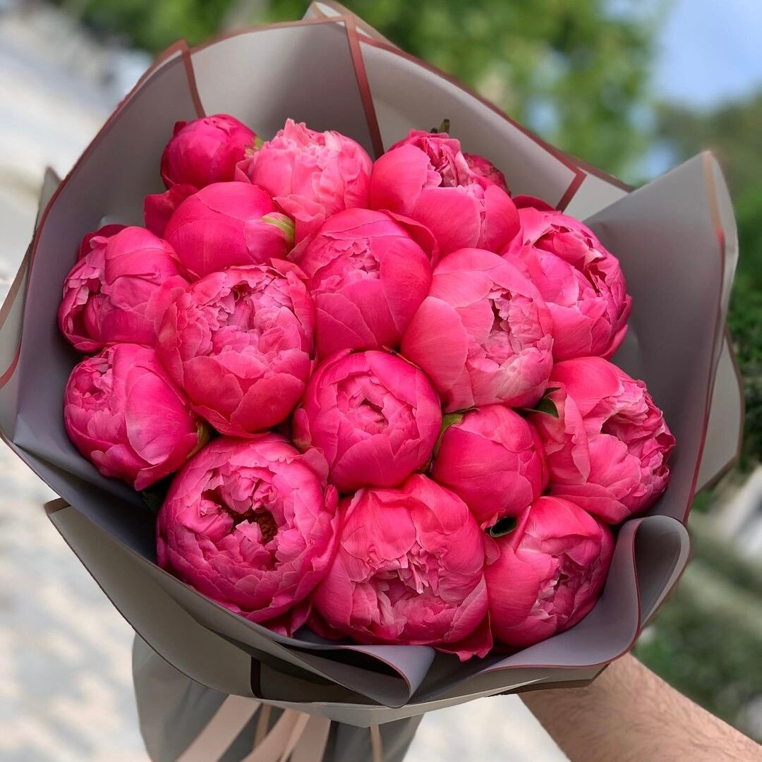 Букет из коралловых пионов 17 шт, красивый букет цветов, шикарный, премиум цветы, премиум букет