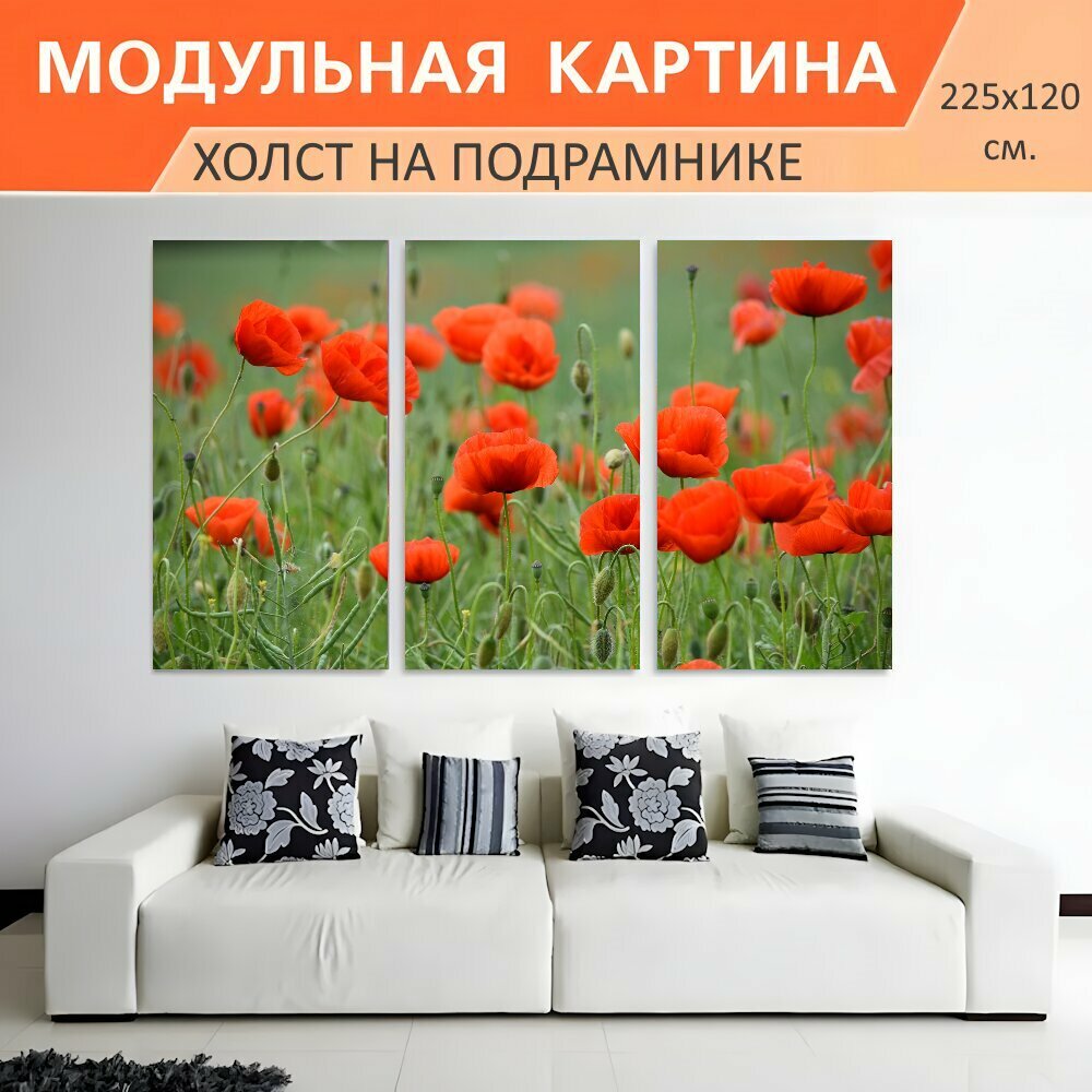 Модульная картина на холсте "Маки, красные маки, поле маков" триптих на подрамнике 225х120 см. для интерьера