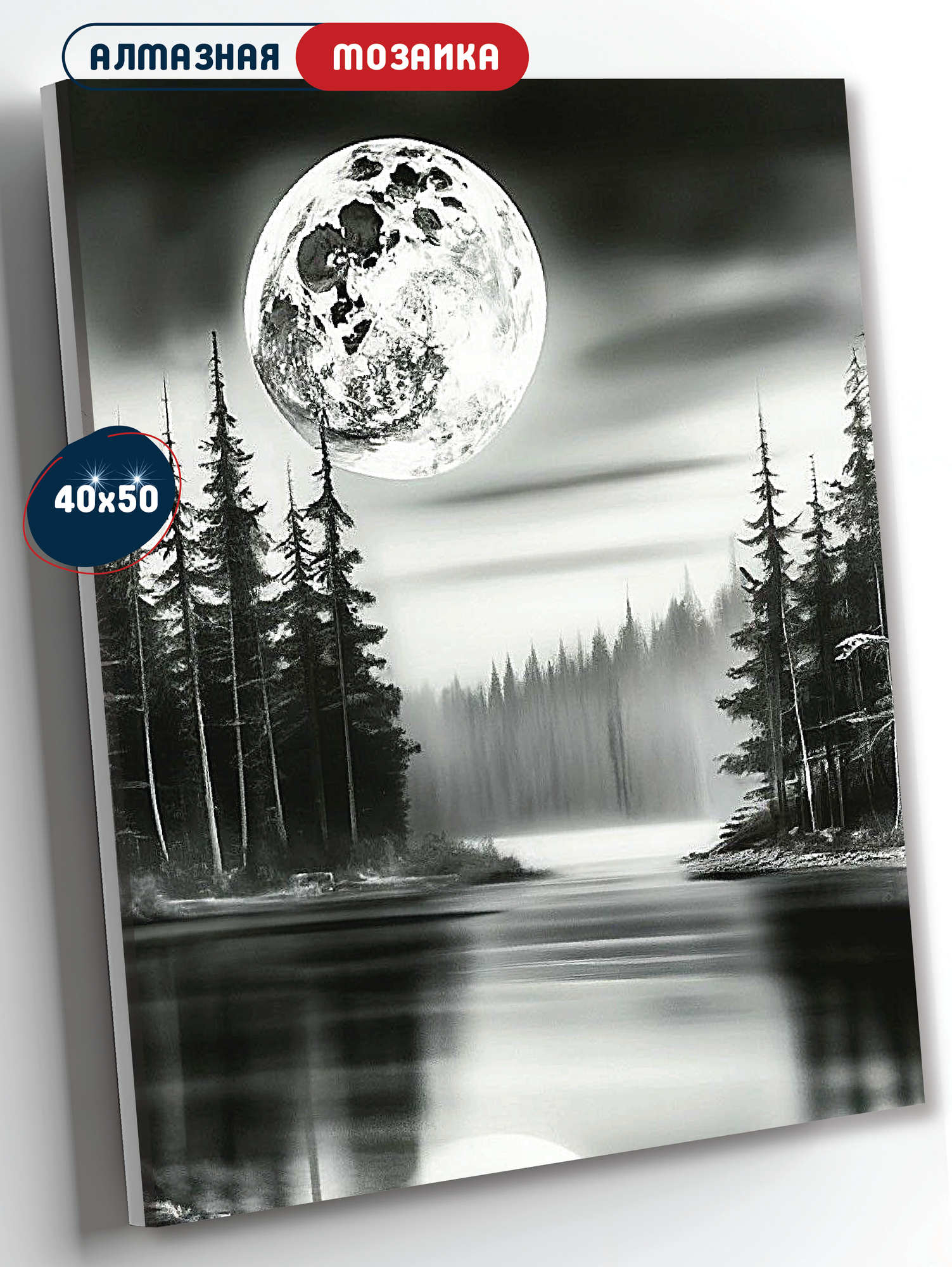Алмазная мозаика на подрамнике "Черно-белая луна" 40х50 Полная выкладка