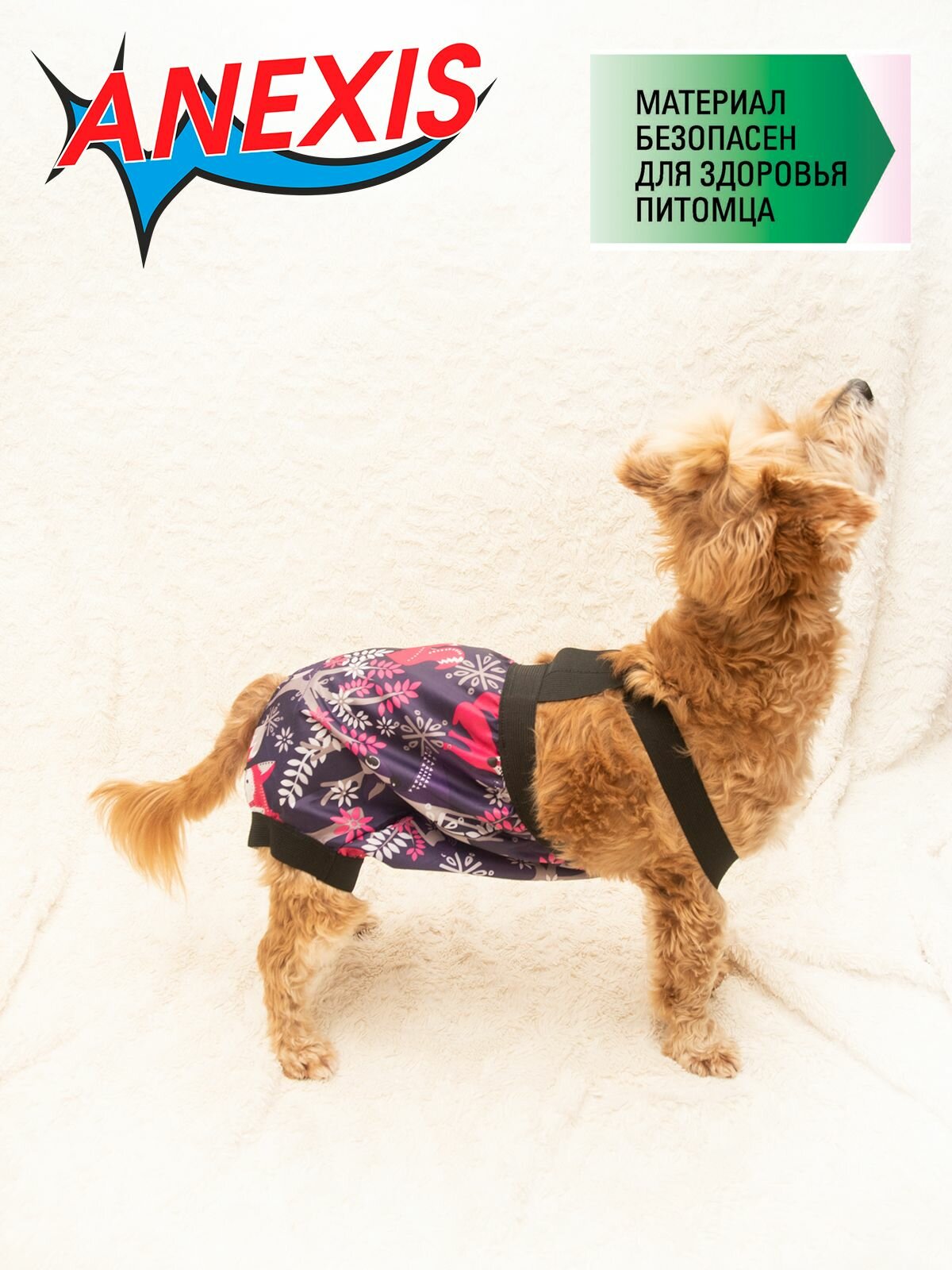 Трусики для собак ANEXIS