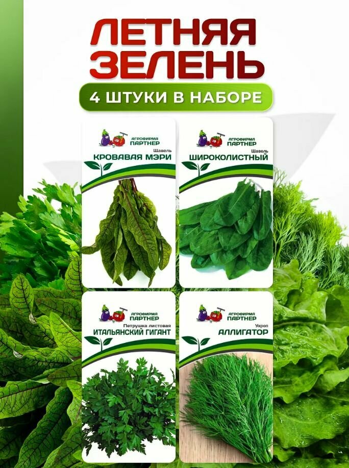 Семена набор: Летняя зелень - Щавель Кровавая Мэри, Щавель Широколистный, Петрушка Итальянский гигант, Укроп Аллигатор