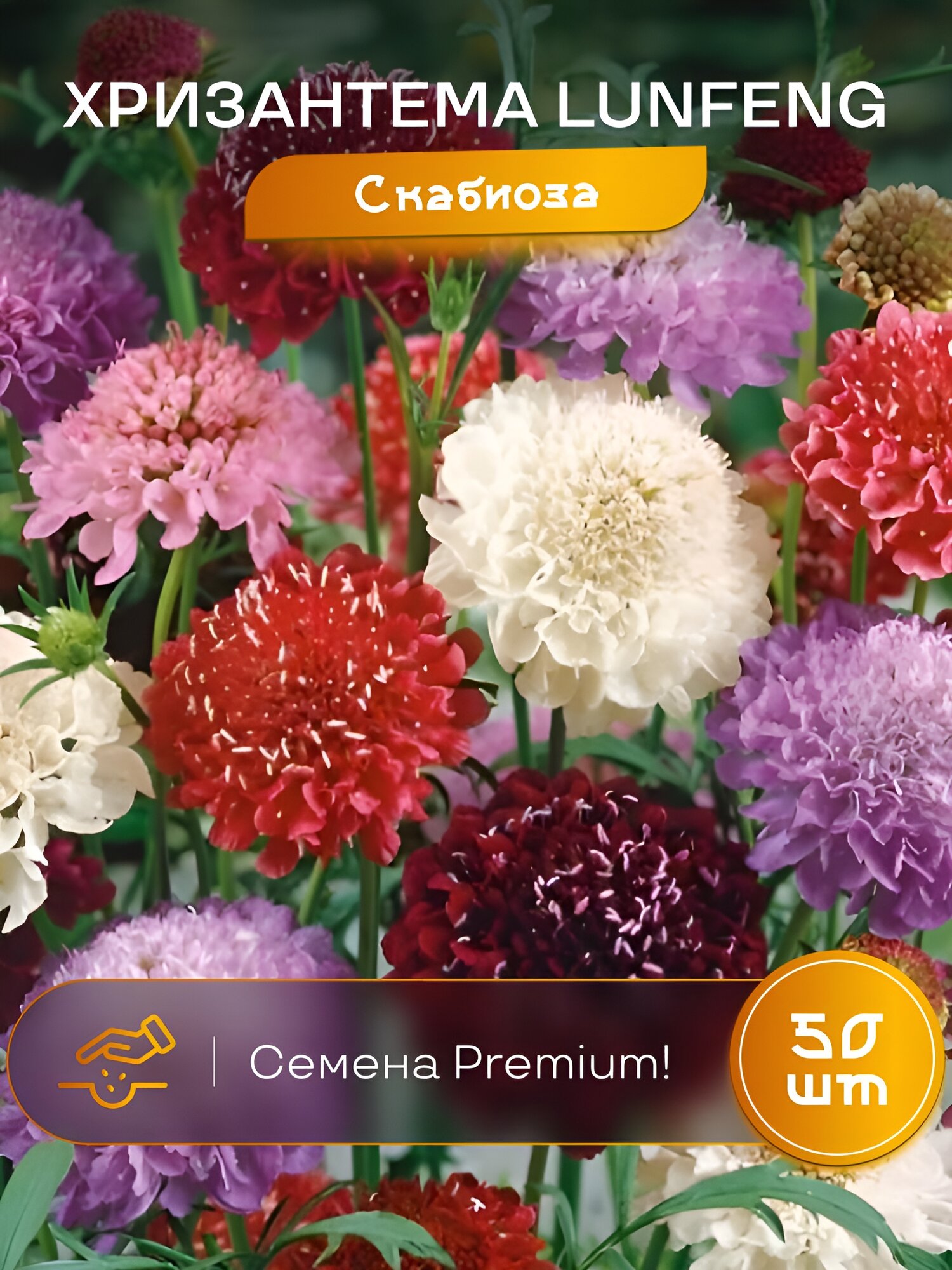 Скабиоза альпийский микс 50 семян премиум