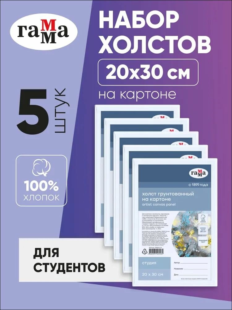 Холст на картоне 20х30 см, 100% хлопок, грунтованный, 5 штук