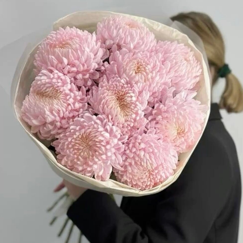 Букет из розовых хризантем 9 шт, красивый букет цветов, шикарный, премиум цветы, премиум букет