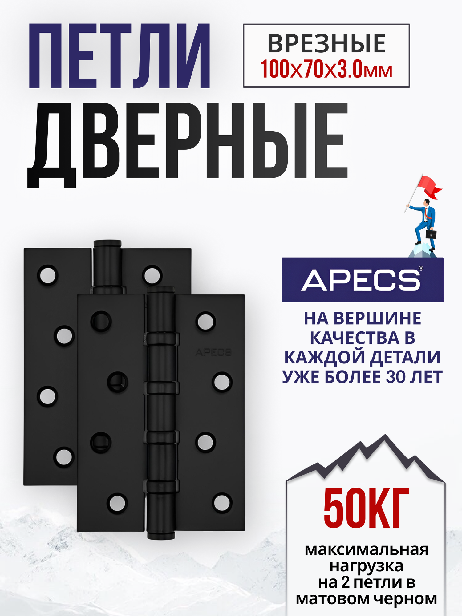 Петли врезные дверные черные универсальные, 2 шт, 100х70х3