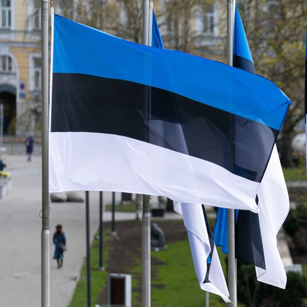 Флаг Эстонии 90x150 см, полиэстер