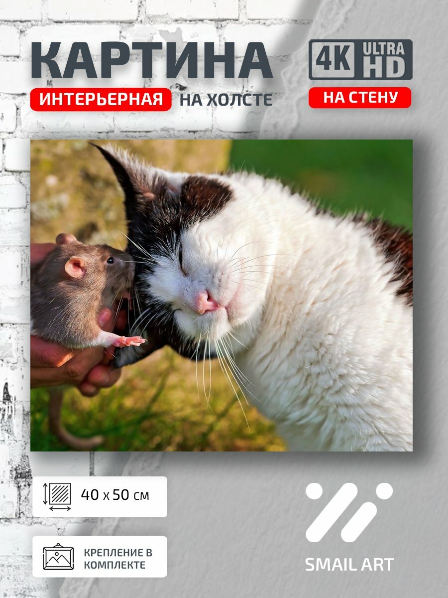 Картина на холсте интерьерная 40 на 50 на стену Кот Animal для спальни animal style декор