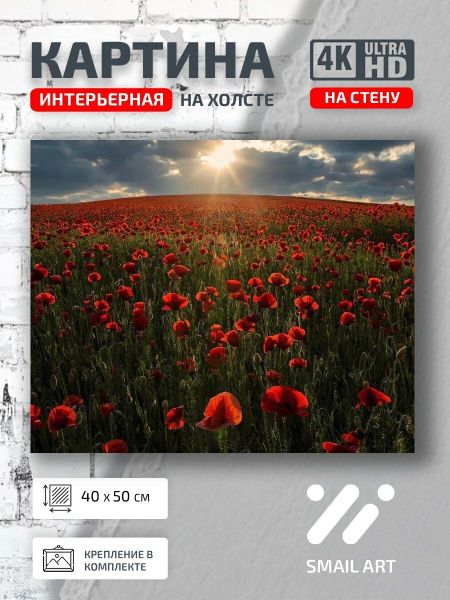 Картина на холсте интерьерная 40 на 50 на стену Природа Маки для спальни пейзаж