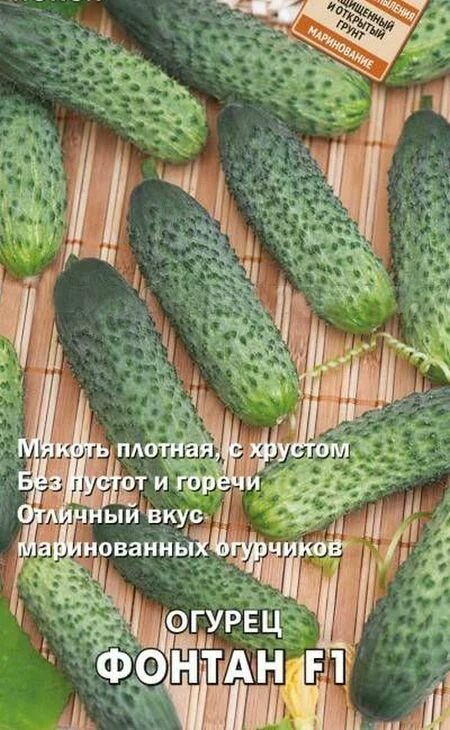 Коллекционные семена огурца F1 Фонтан