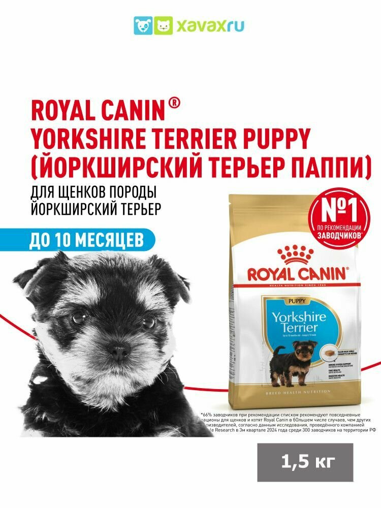 Сухой корм Royal Canin Yorkshire Terrier Puppy для щенков породы Йоркширский Терьер до 10 месяцев, 1.5 кг