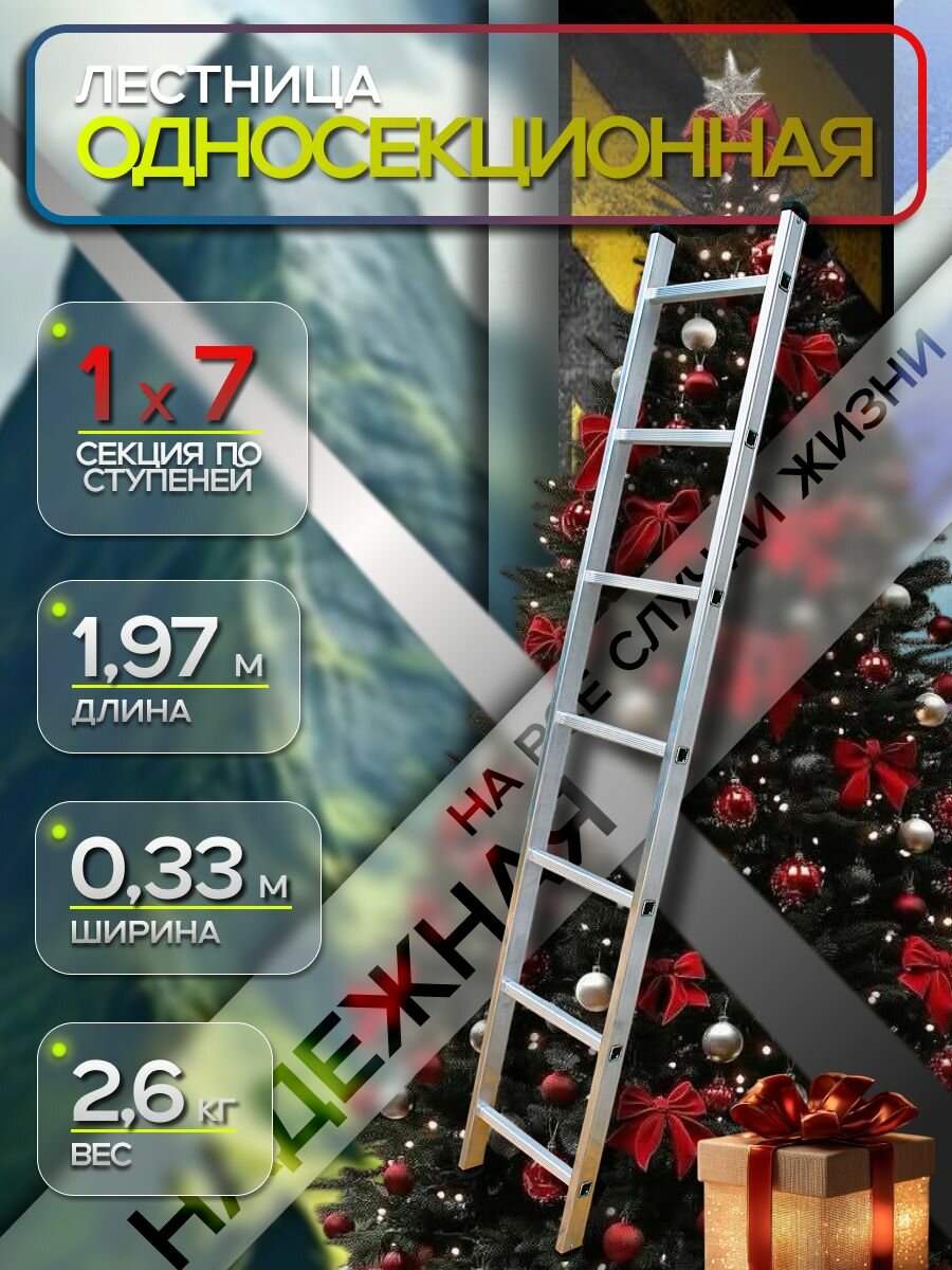 Лестница приставная алюминиевая односекционная 1х7, 7 ступеней.