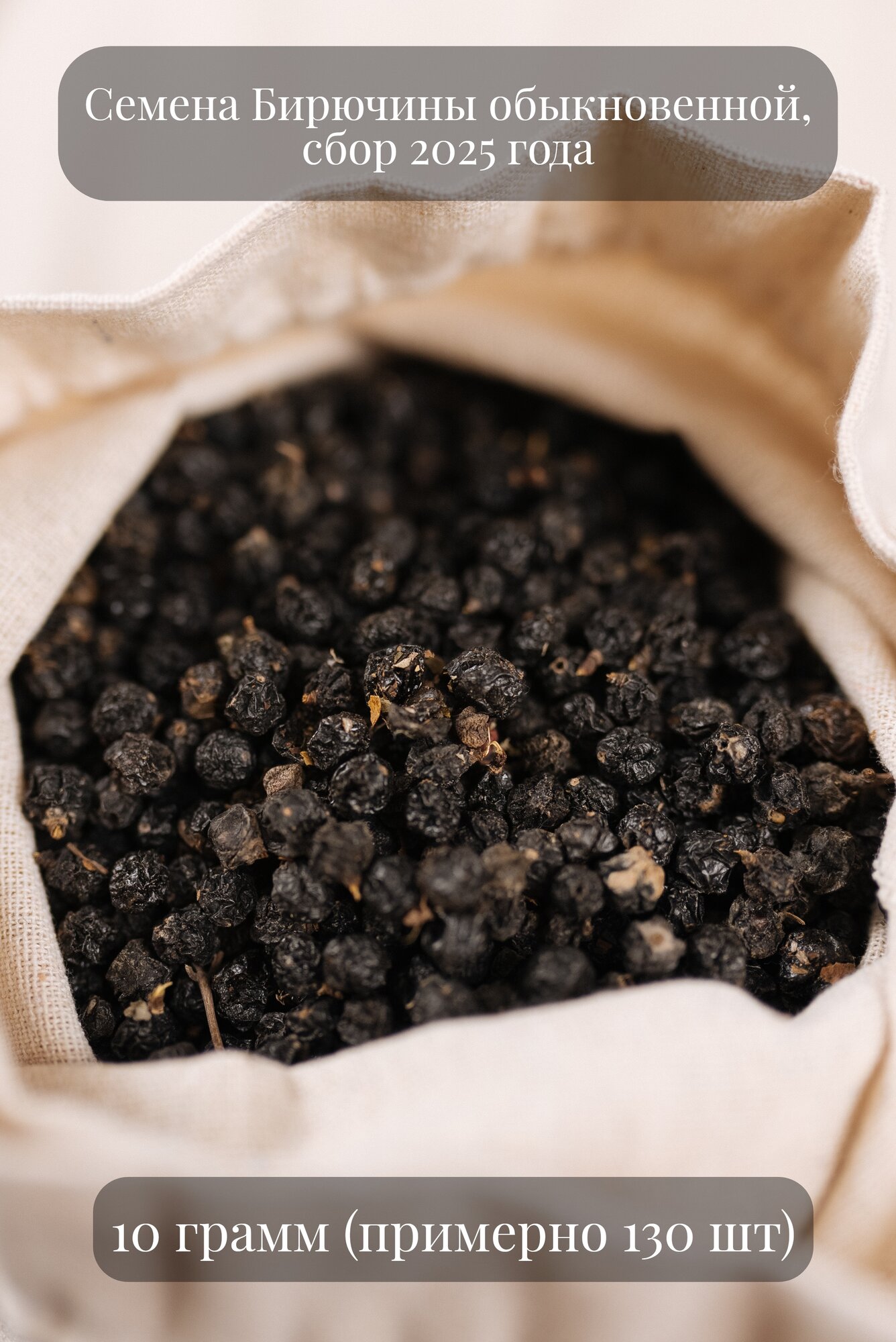 Семена кустарника Бирючины обыкновенной, подходит для живой изгороди, 10 грамм (примерно 130 шт)
