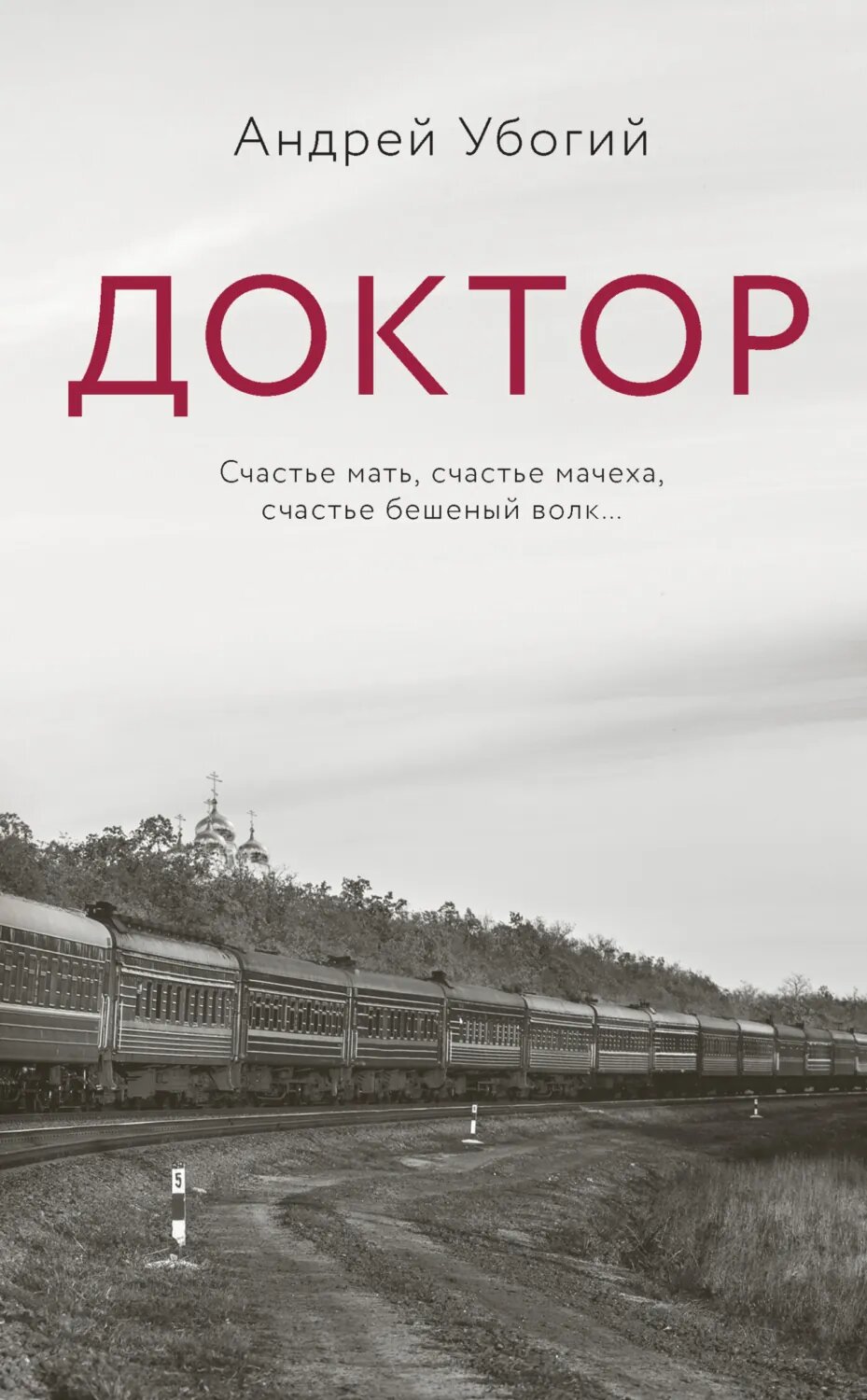 Доктор [Цифровая книга]