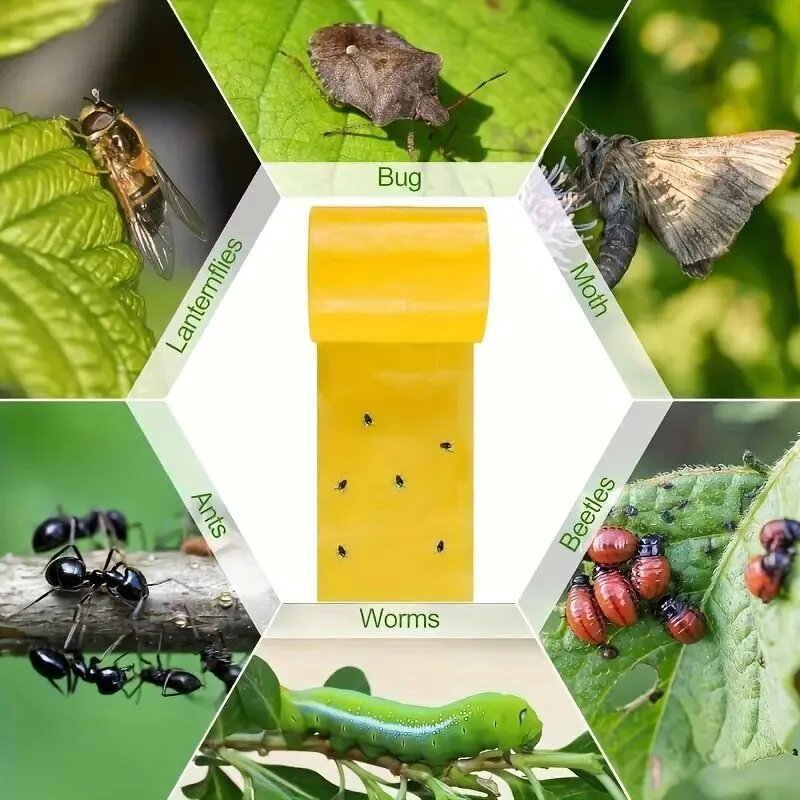 Липкая лента для защиты деревьев от насекомых 1pc