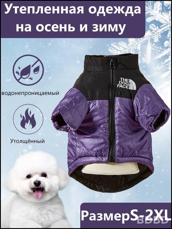 Эксклюзивный зимний комплект из хлопка с бархатным утеплением для маленьких собак