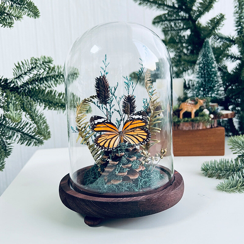 Стеклянная крышка, бабочка, образец растения, сохраненный цветок, сухой цветок, украшение, инсект, DIY, микроландшафт, День матери