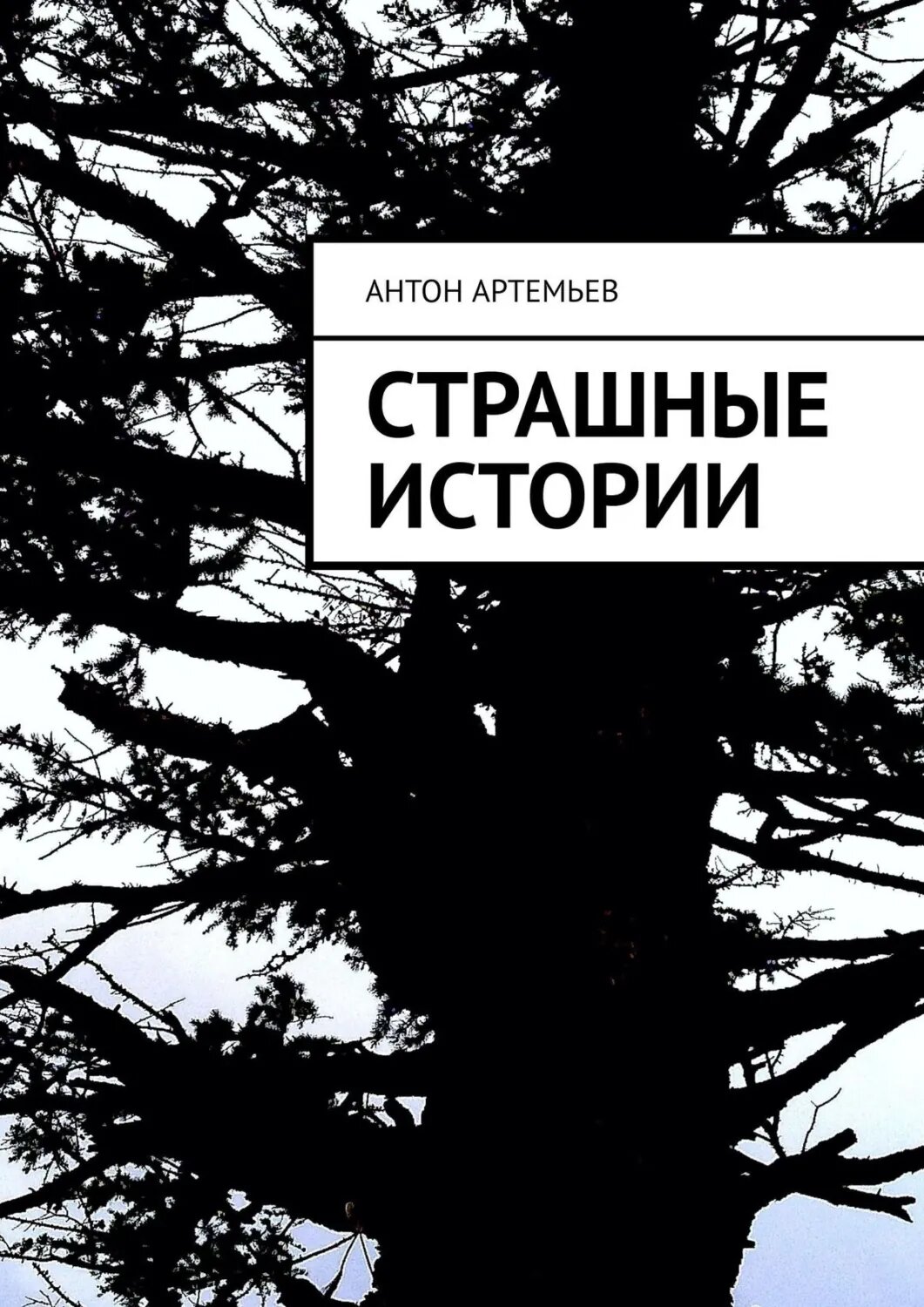 Страшные истории [Цифровая книга]
