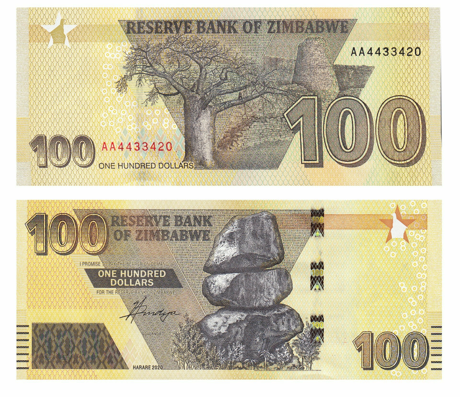 Зимбабве - 100 долларов 2020 2022 "Дерево, Руины Великого Зимбабве" Рick - W106a