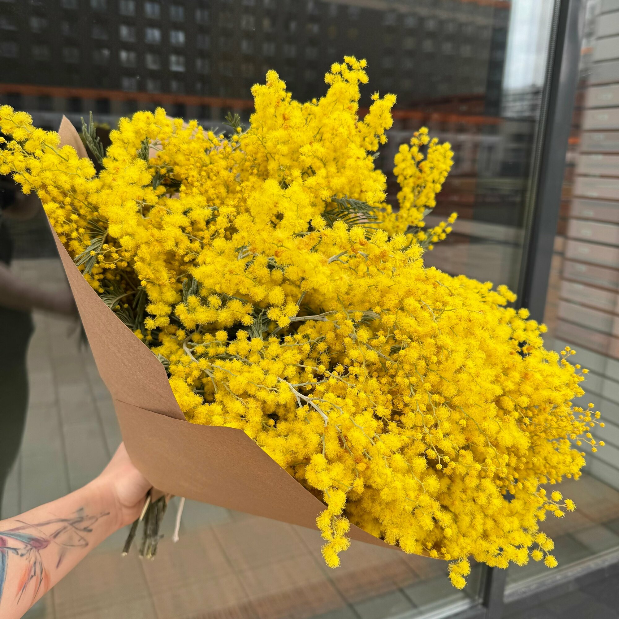Мимоза/ Букет Мимоз из 19 штук/ Желтая Мимоза/ Цветы к 8 марта/ Доставка цветов по Москве