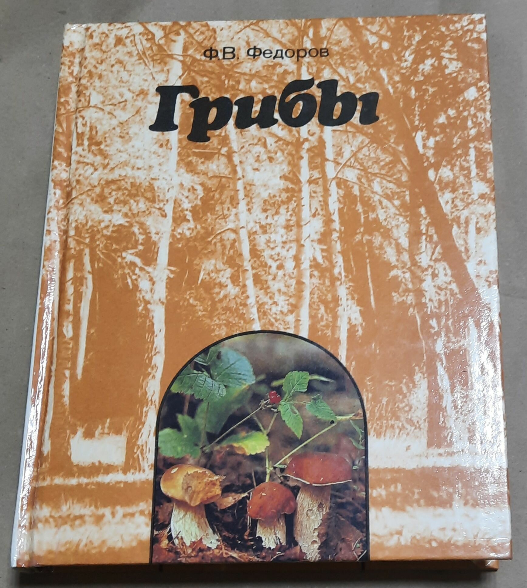 Грибы