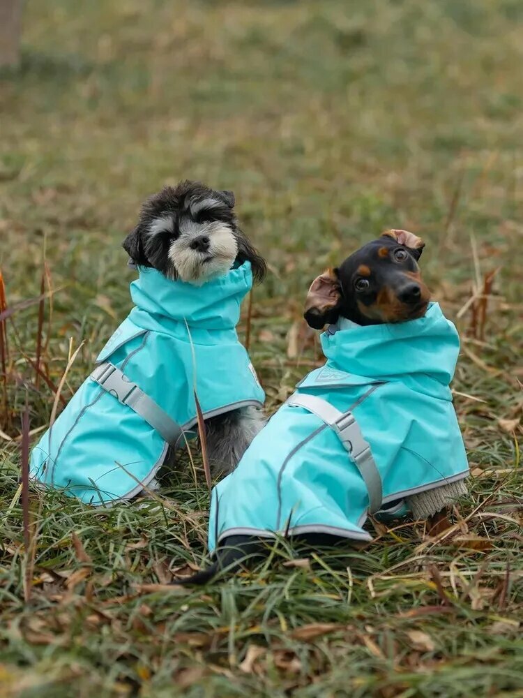 Дождевик попона для собак с рисунками при намокании