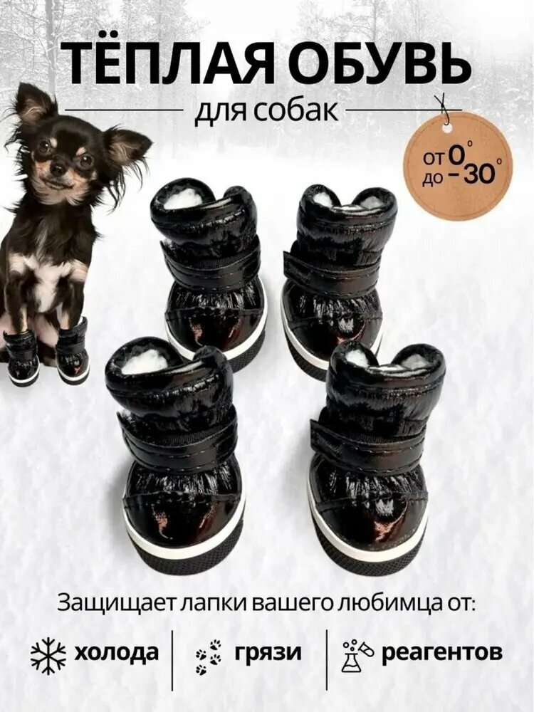 Обувь для собак мелких пород кошек
