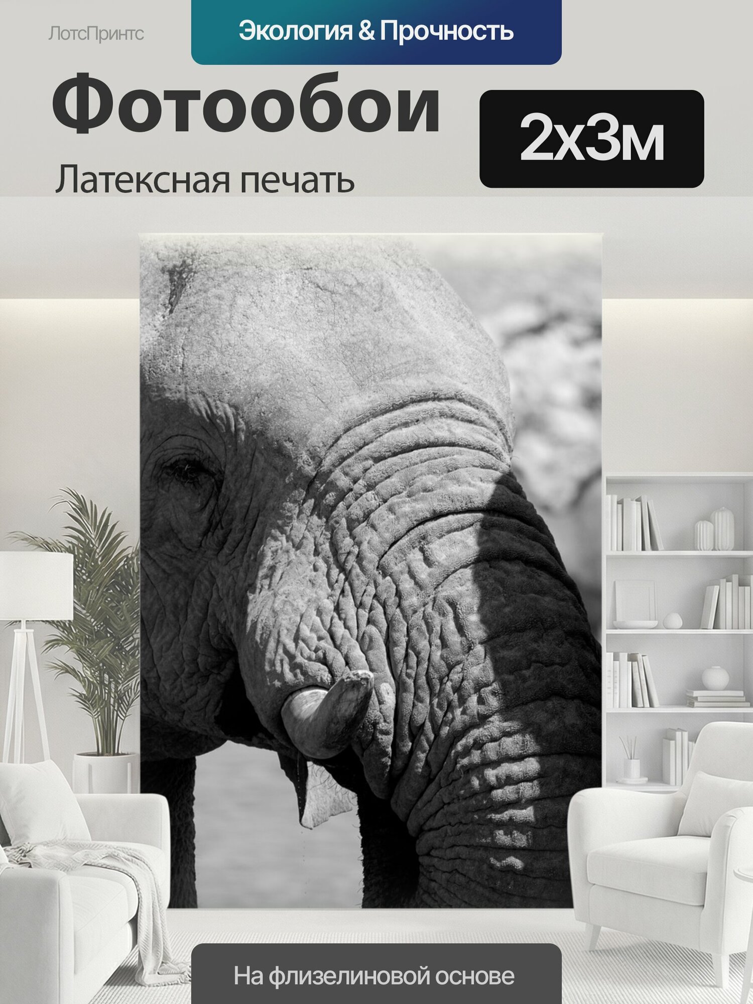 Фотообои моющиеся ударопрочные "Слон, черно-белый, африке" 200x300 см. латексная печать