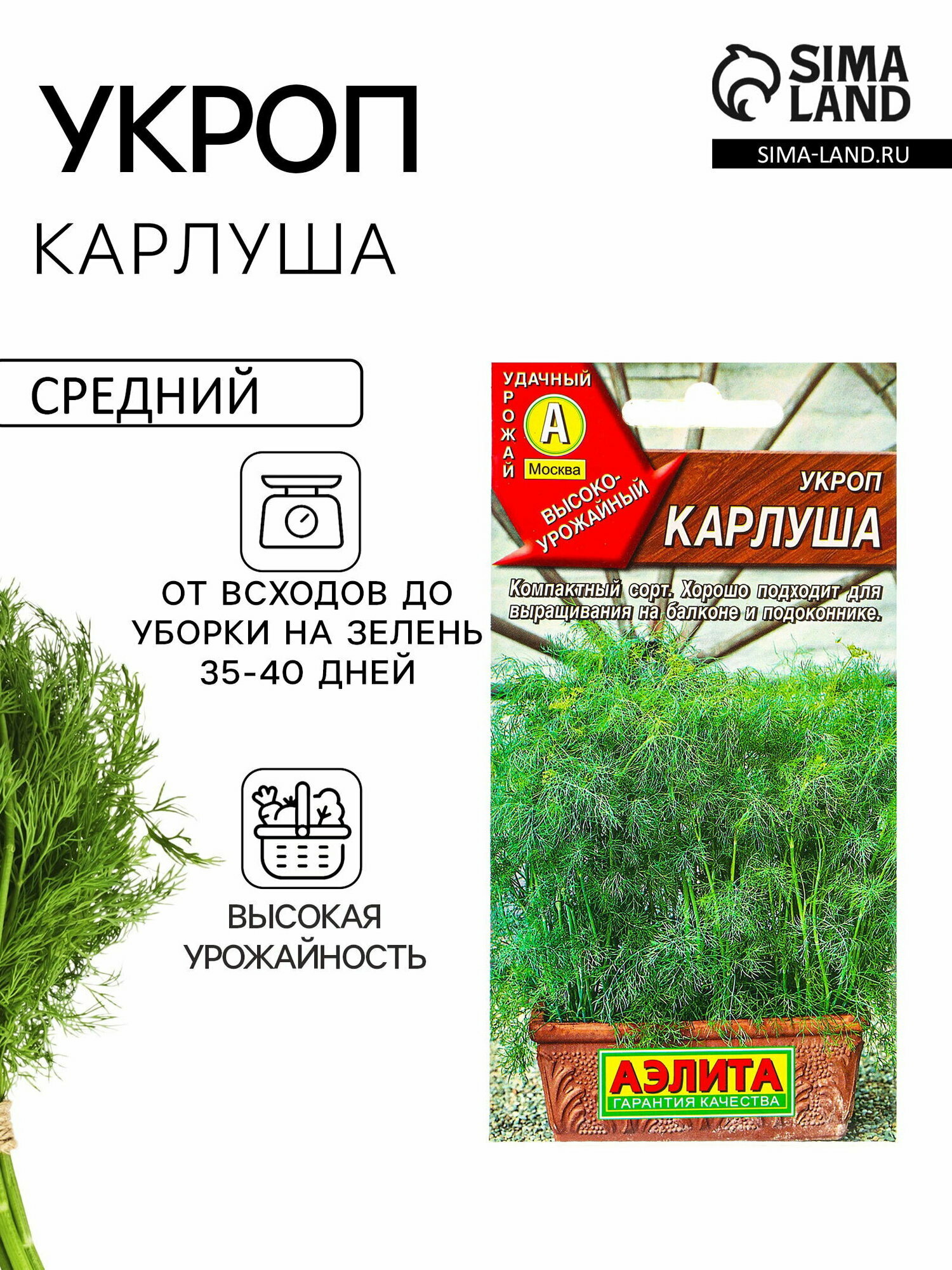 Семена Укроп "Карлуша" 3 г, посев (посадка) в грунт: август, сроки созревания: средний, 2 шт.
