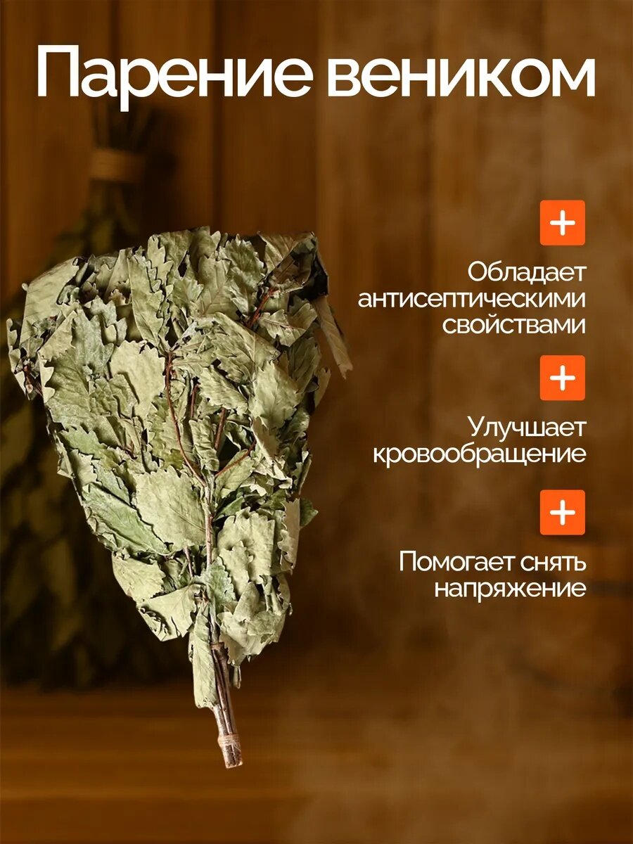 Веник для бани "Доброправъ" дубовый, 1 шт, свежий сбор, 50 см — фото 1