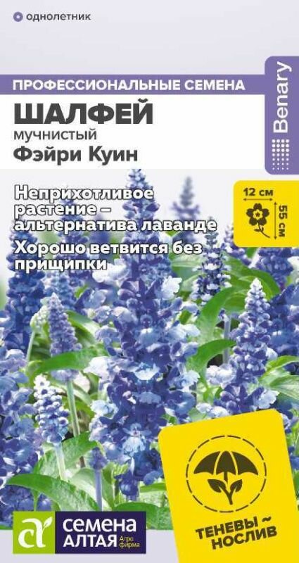 Семена Шалфей Фэйри Куин мучнистый Семена Алтая 5 шт