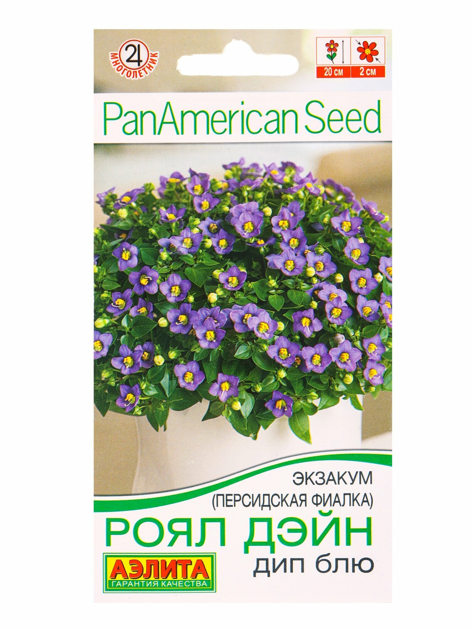 Семена цветов Экзакум (Персидская фиалка) Роял дэйн дип блю (драже) PanAmerican, Ц/П,4 шт. 1094596